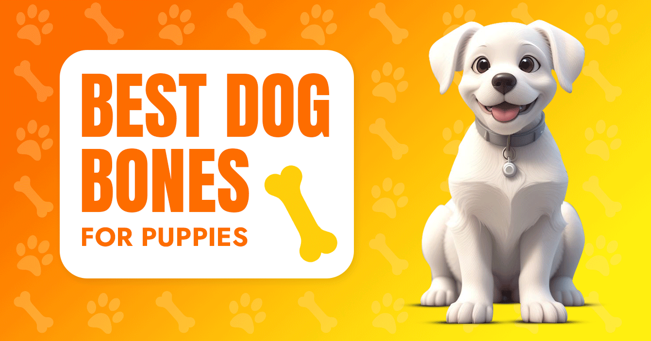 Best Dog Bones for Puppies: How to Choose the Right One – Tibetan Dog Chew