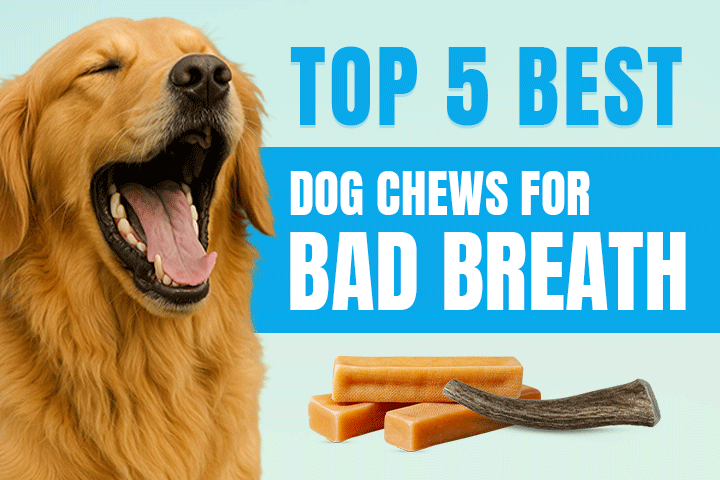 Best Dog Chews for Bad Breath | Top 5 Picks for Fresh Kisses – Tibetan ...