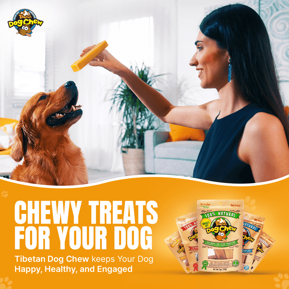 Large Yak Cheese Bulk Chews 2 lbs - Long Lasting Dog Chew – Tibetan Dog ...