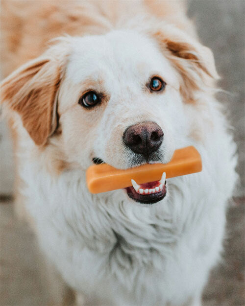 Super Saver Dog Chew Pack for Large Dogs – Tibetan Dog Chew