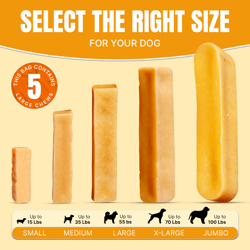Natural and Long lasting Large 5 sticks Yak Chews for dogs – Tibetan ...