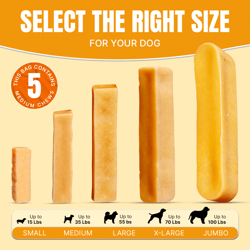 Long Lasting Yak Cheese Chews for Medium dogs - 5 sticks – Tibetan Dog Chew